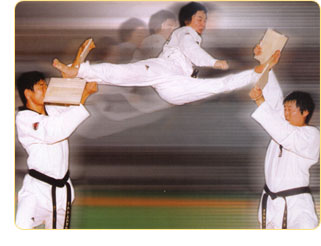 Yoo's Authentic Martial Arts - Taekwondo Techniques